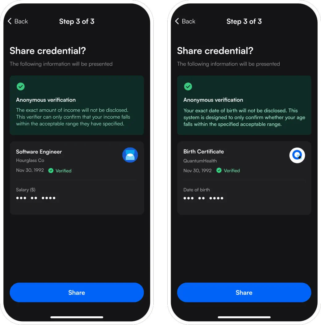 Verification with Zero-Knowledge Proofs